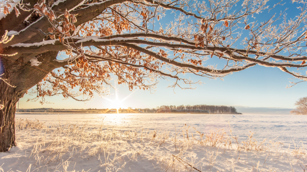 Joint statement: Scottish Government’s Winter Plan ‘offers no hope for ...